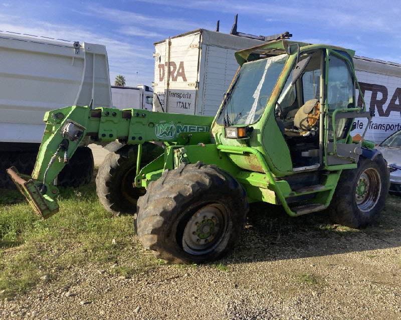TRATTORE TELESCOPICO MERLO - In asta